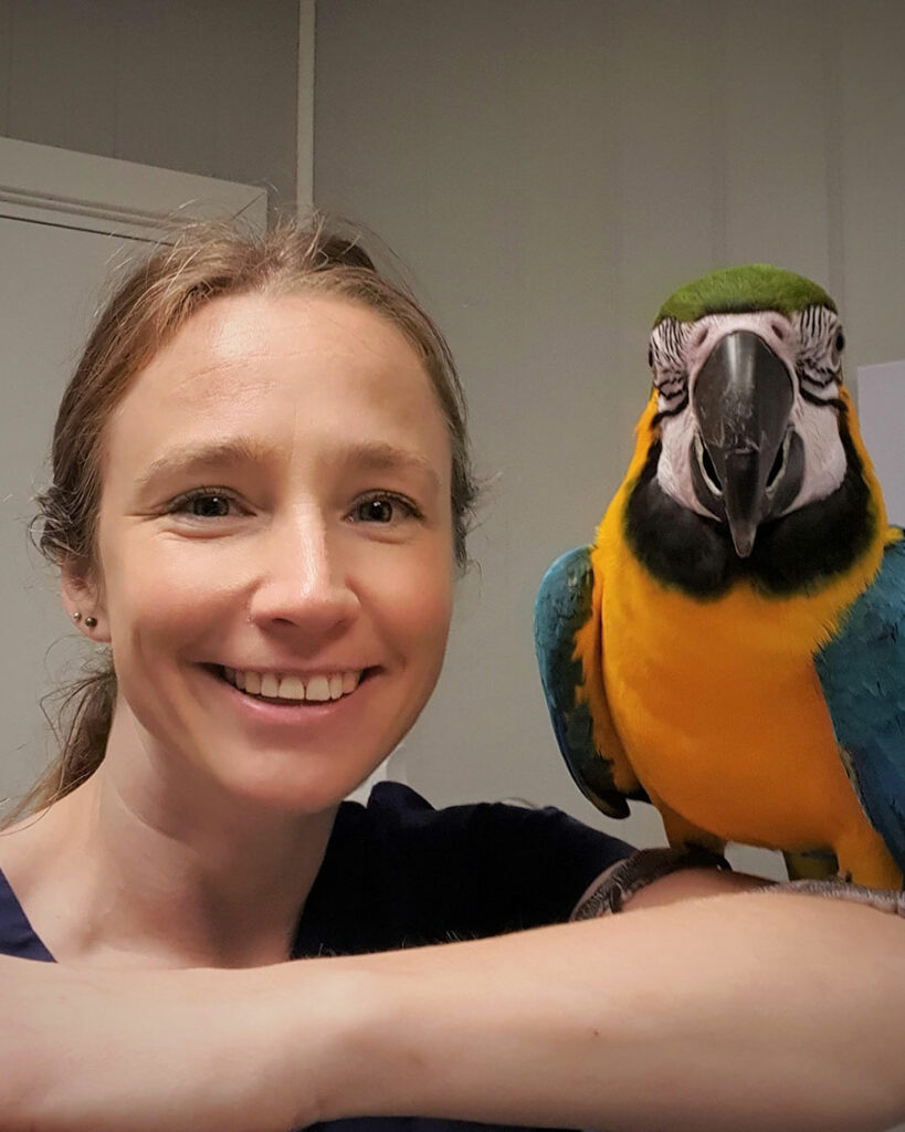 Lena Hammerlund Teige - Lillehammer Dyreklinikk og Gausdal Dyreklinikk